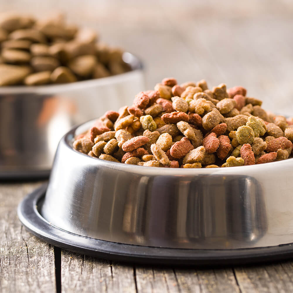 Meat Based Dog Food – Mesh Mesh vet